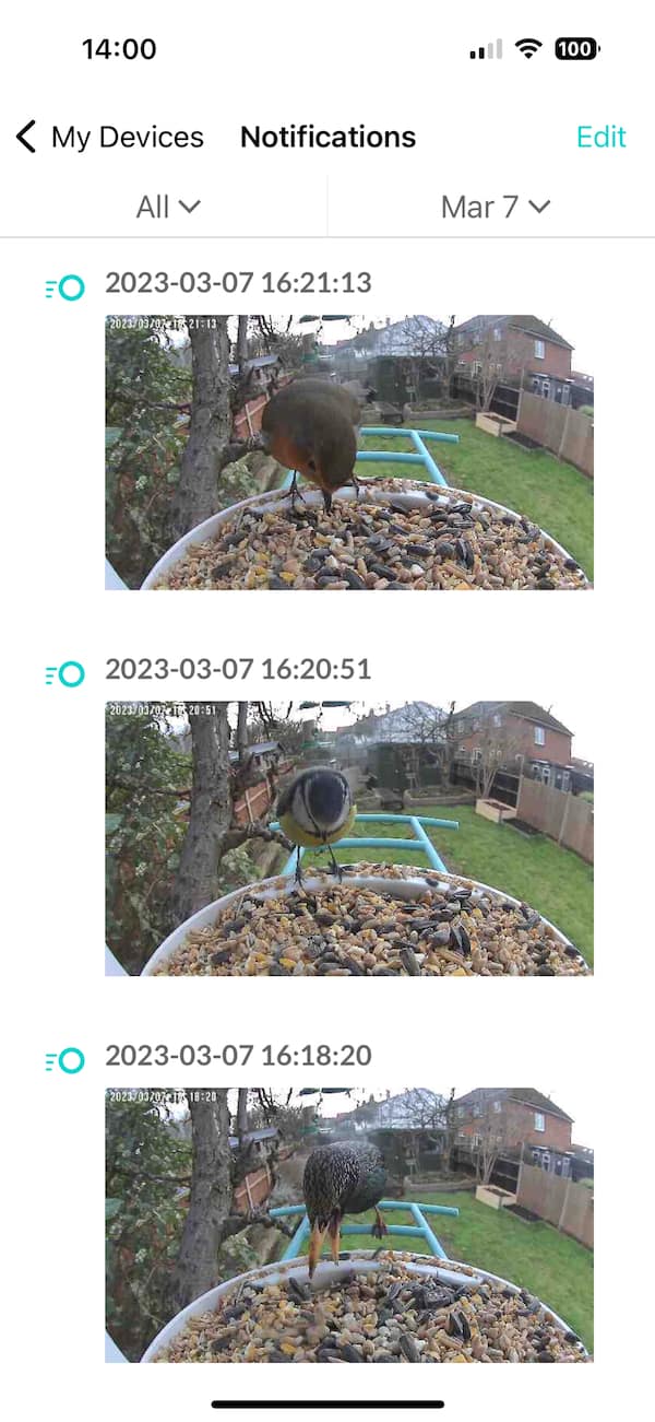 Review of the Netvue Birdfy Smart Bird Feeder Camera - Life with Jo